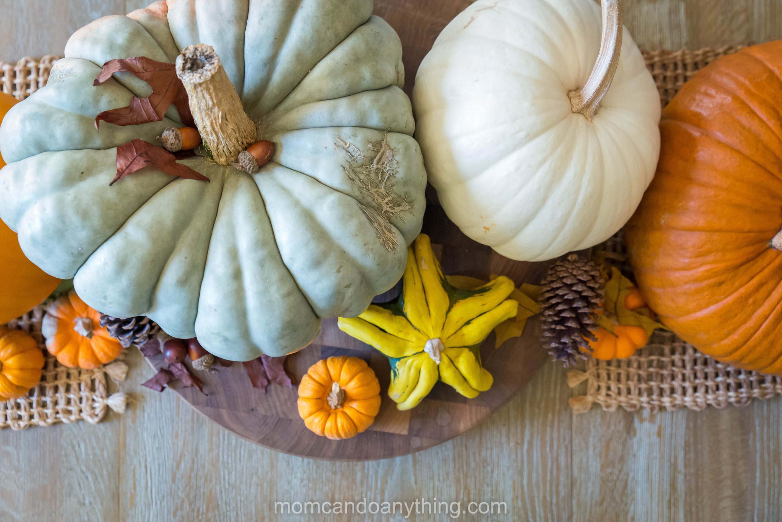 How To Preserve Pumpkins So They Last Longer | Mom Can Do Anything
